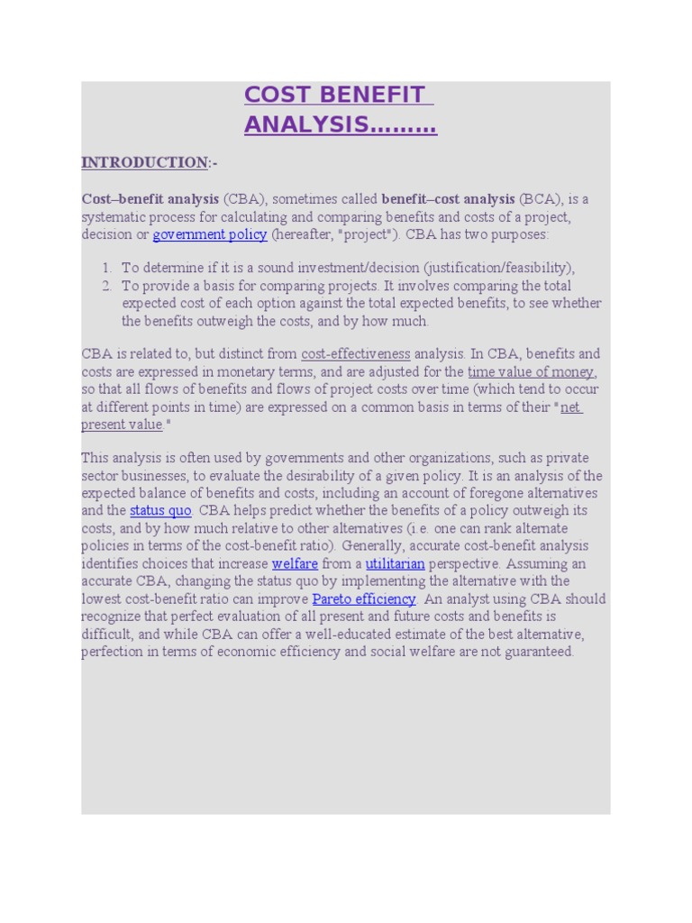 Cost Benefit Analysis1 | PDF | Cost–Benefit Analysis | Economics