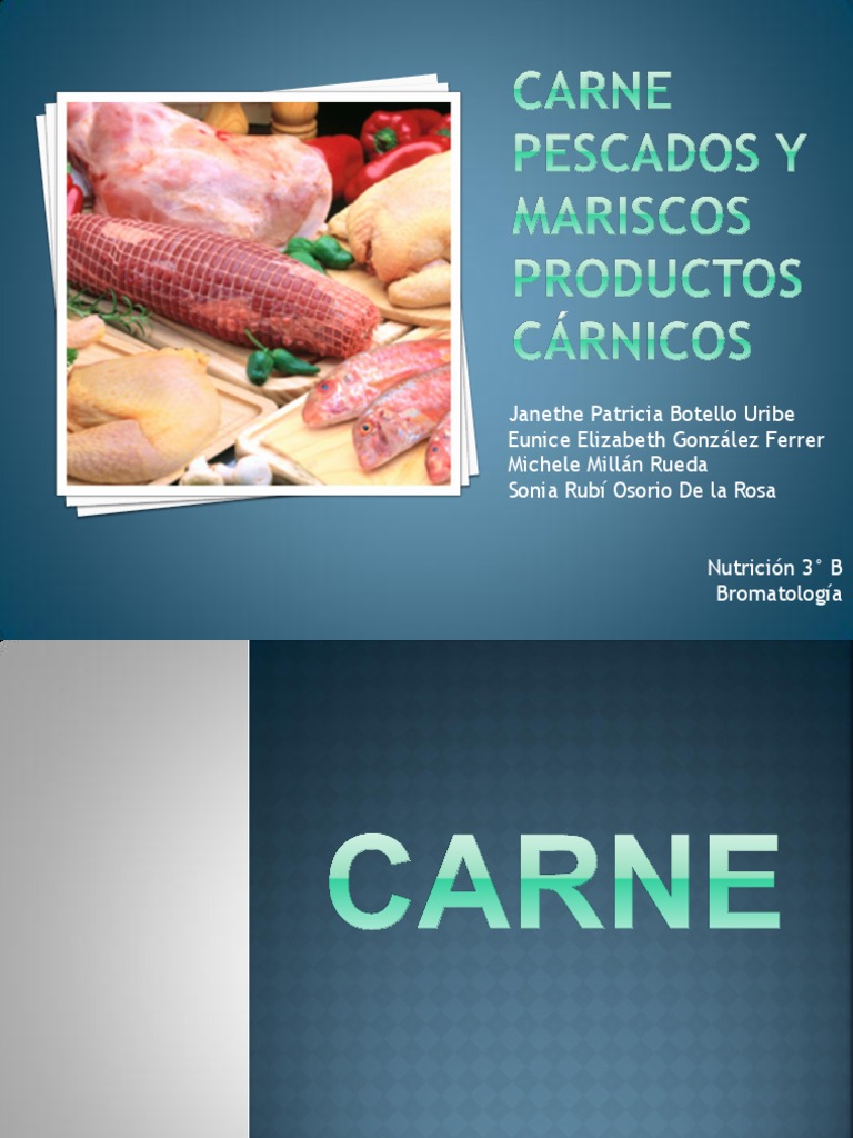 Exposicion Carne | PDF | Carne | Menudencias