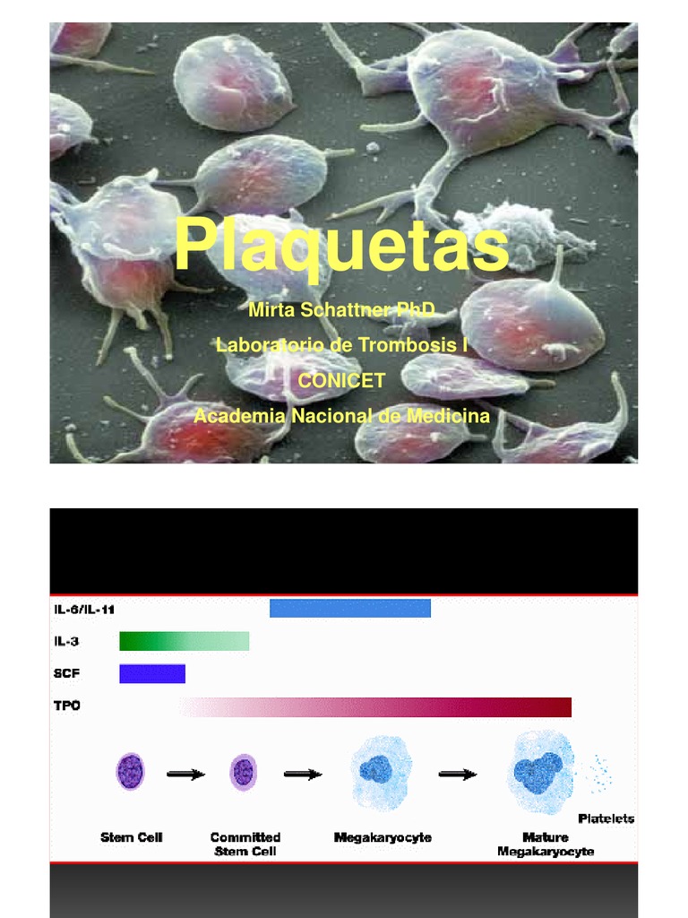 1 Generalidades de Las Plaquetas | PDF | Plaqueta | Biomoléculas