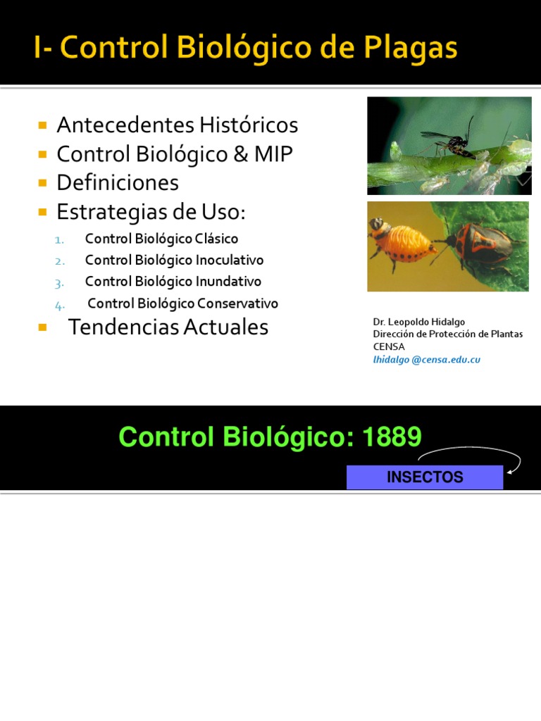 Estrategias de Control Biológico | PDF | Insectos beneficiosos | Plaga ...