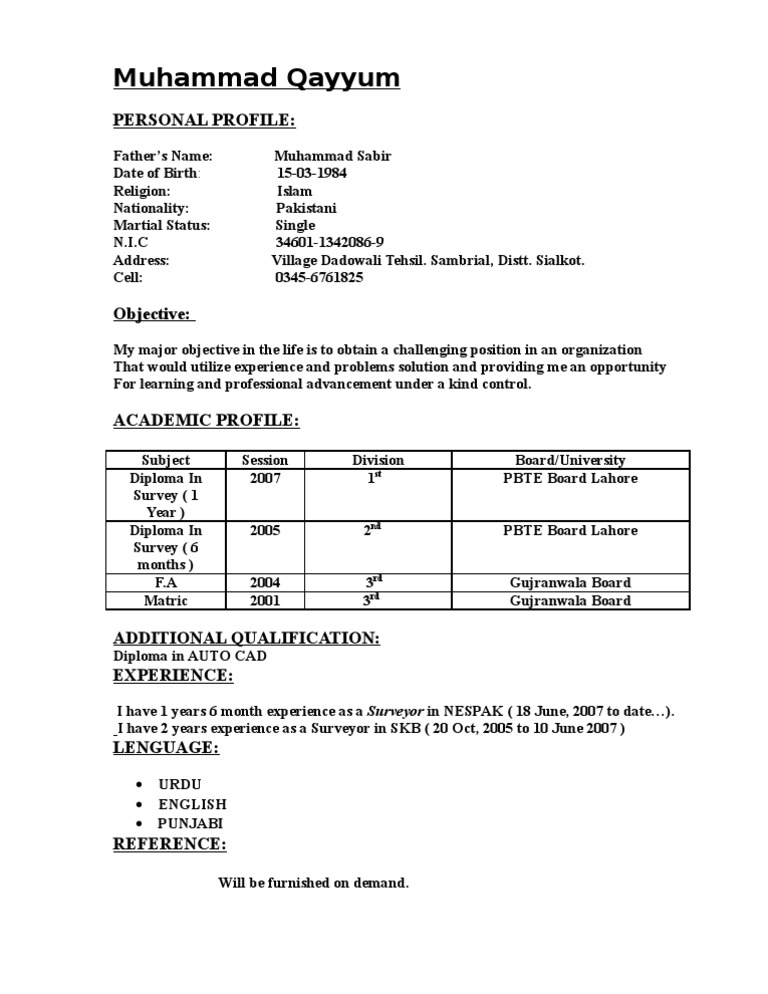 Muhammad Qayyum's Professional Profile | PDF