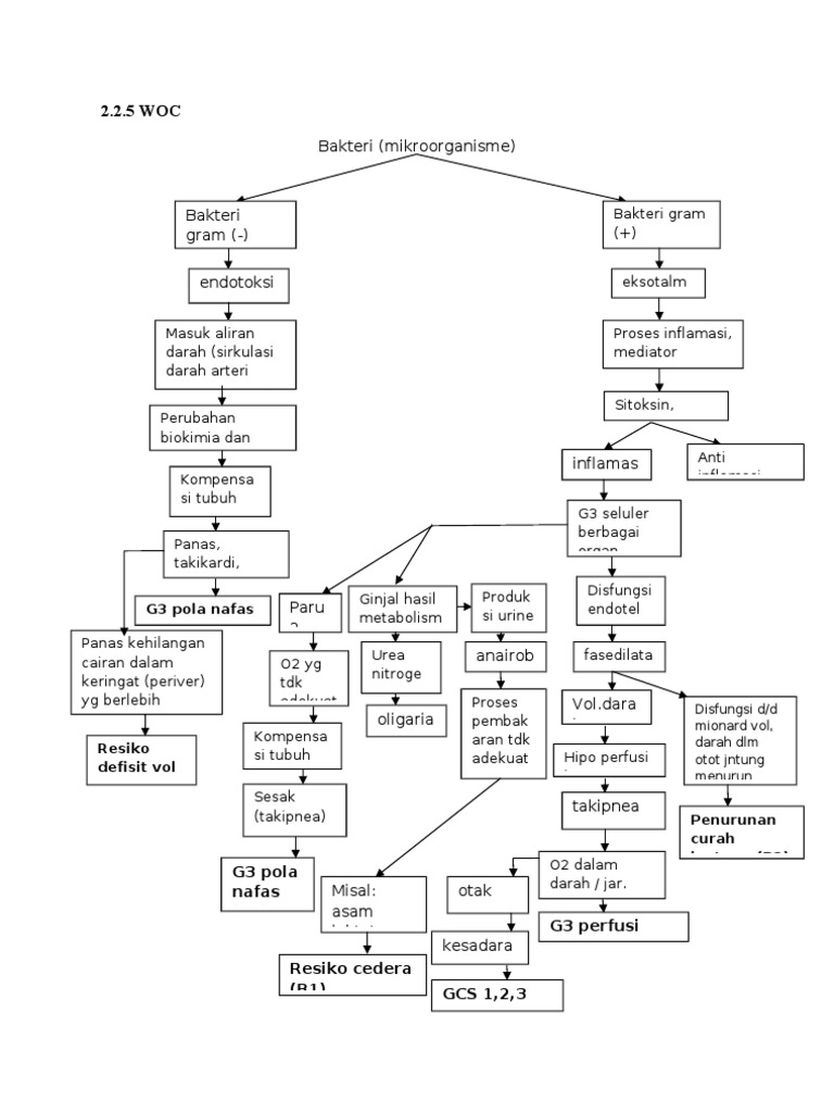 Woc Syok Sepsis | PDF