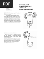 Signo de Godet | PDF | Edema | Enfermería