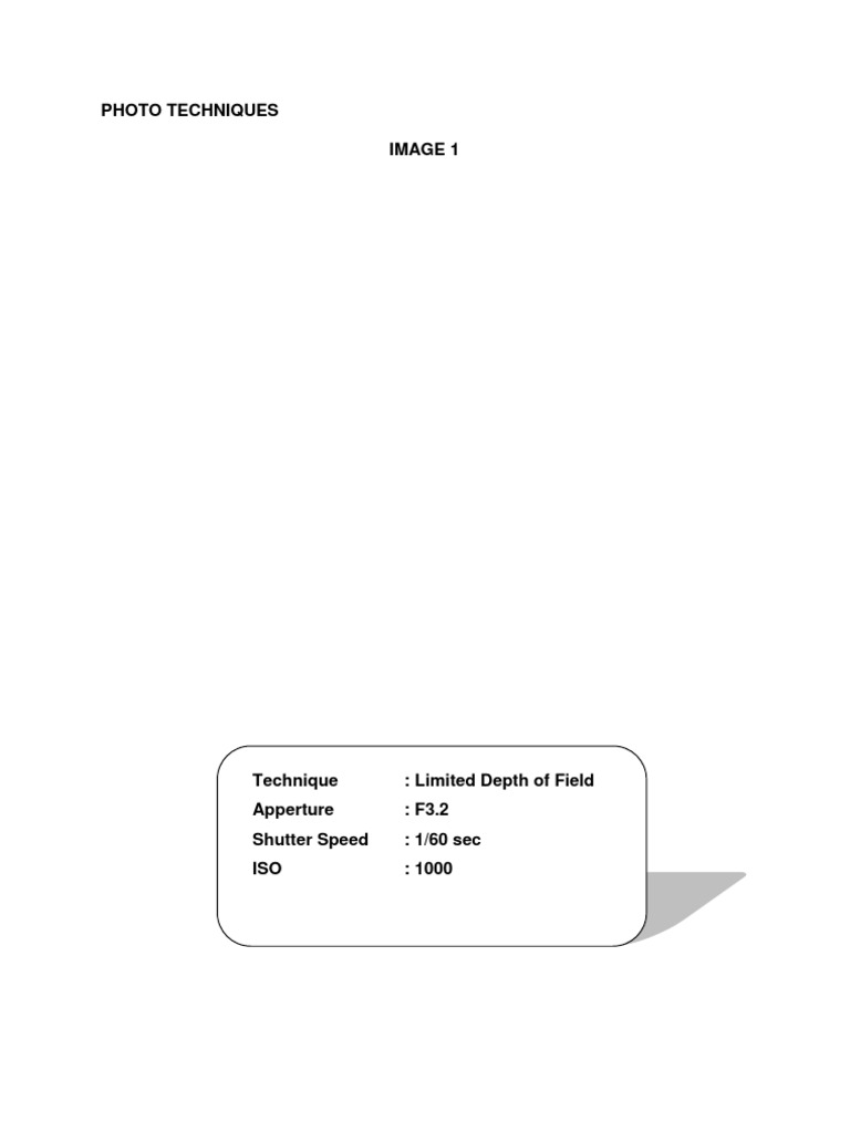 Photo Techniques | PDF