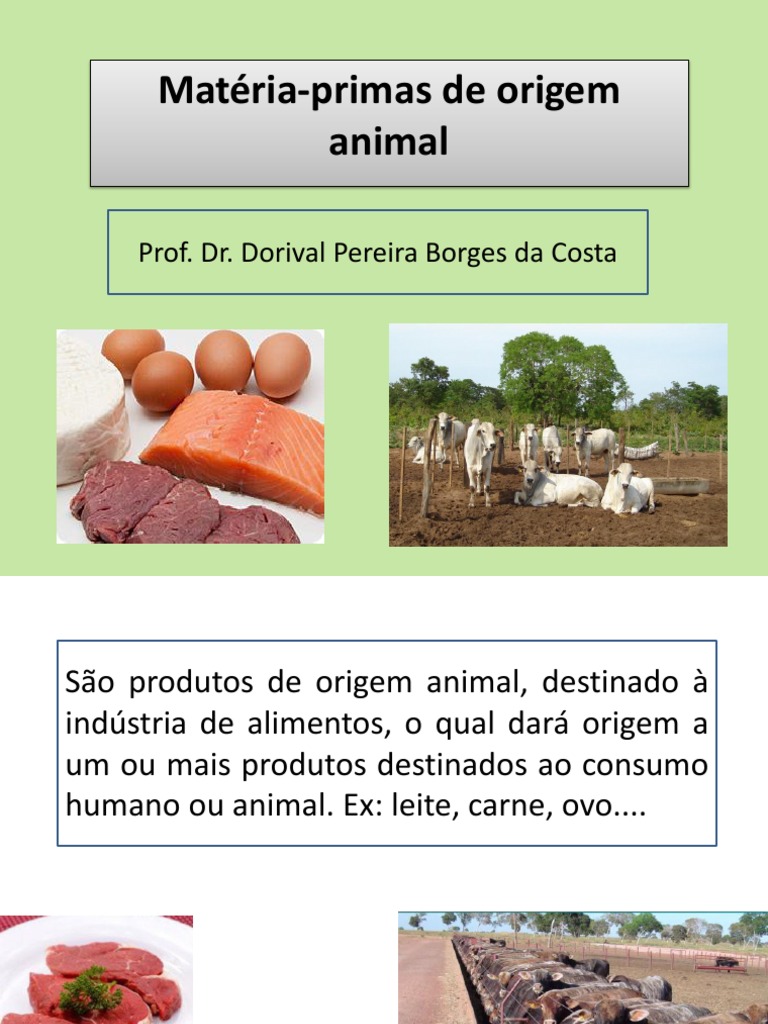 Aula 1 - Materia-Prima | PDF