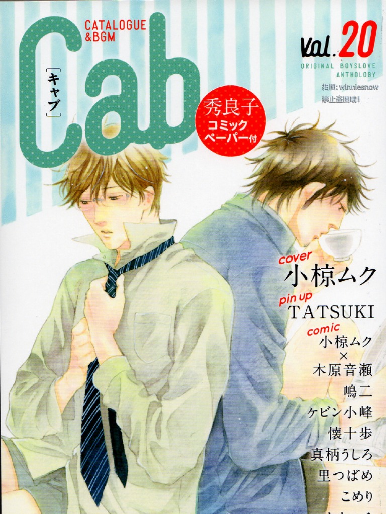 Castle Mango 12 | PDF