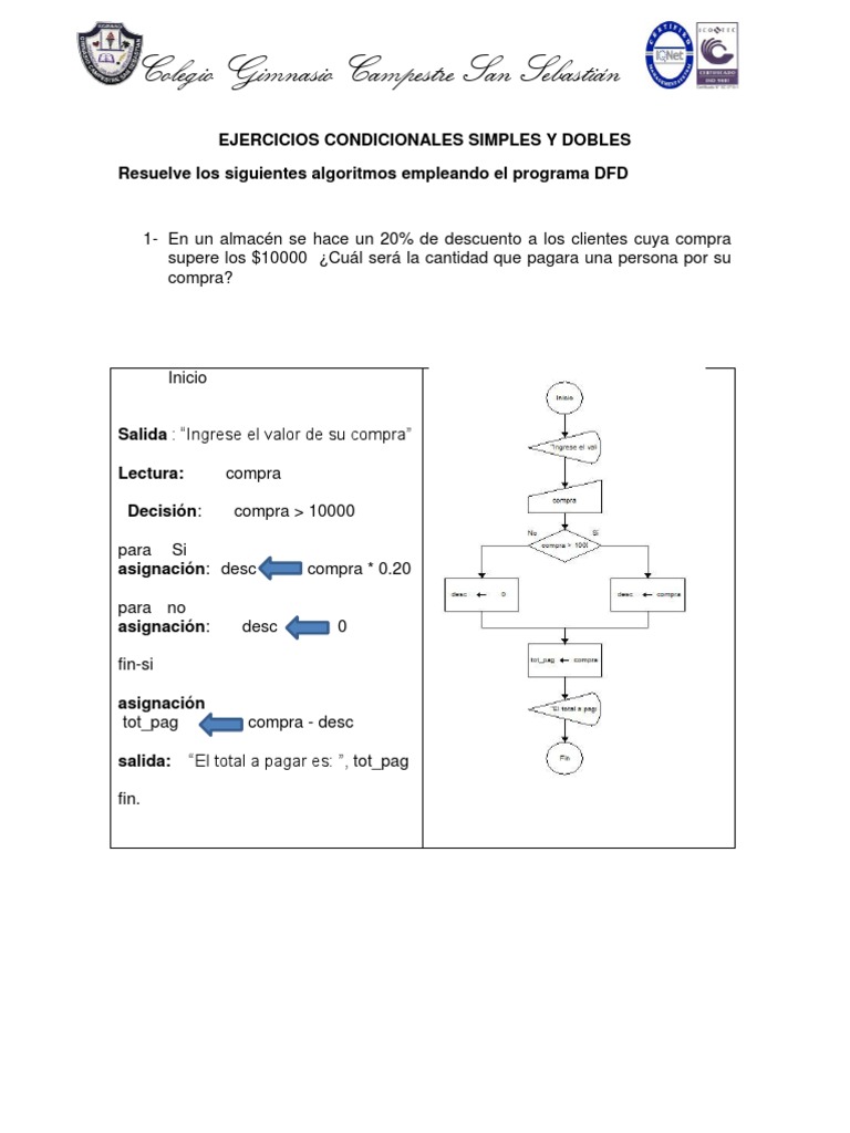 Ejercicios Condicionales Simples y Dobles | PDF | Algoritmos | Áreas de informática