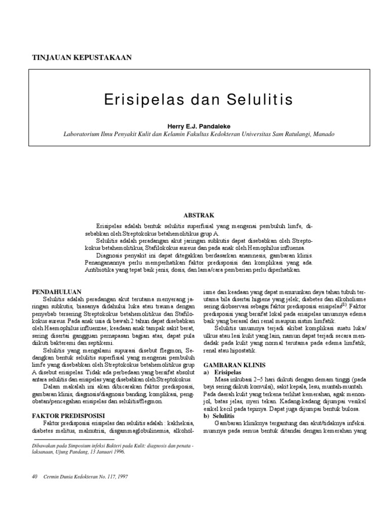 Erisipelas Dan Selulitis | PDF