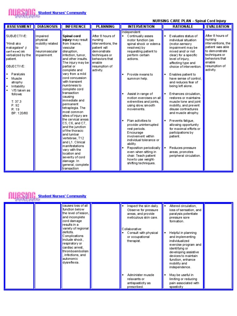 Nursing Care Plan - Spinal Cord Injury | PDF | Clinical Medicine ...