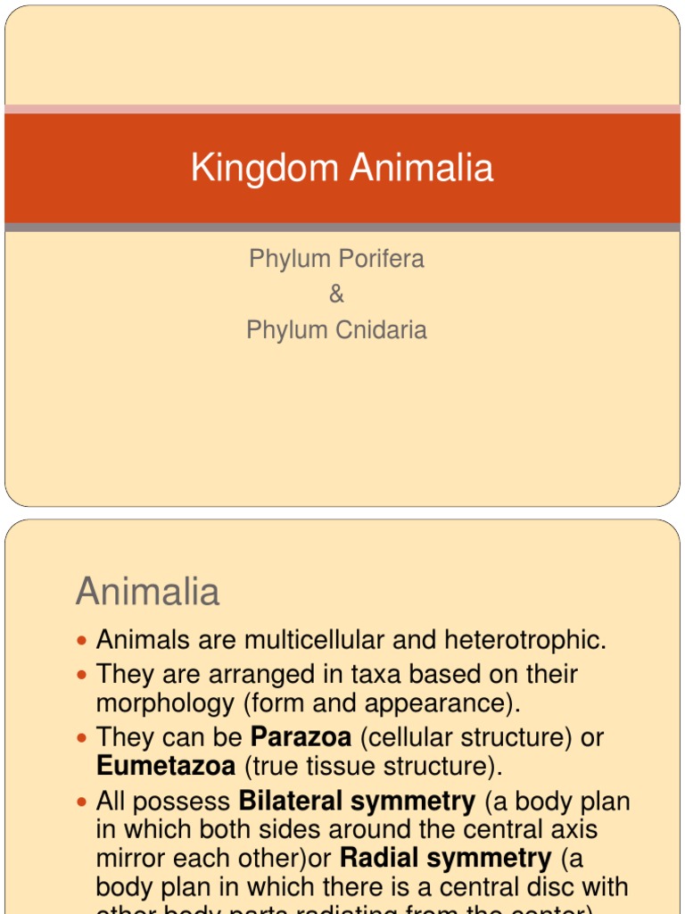 Lab 10 Porifera & Cnidaria | PDF | Sponge | Animal Taxonomy