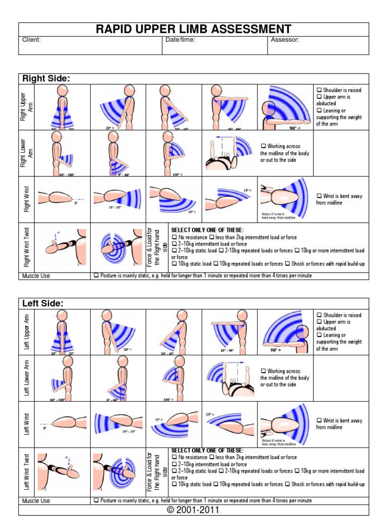 Rula Sheet | PDF | Arm | Human Anatomy