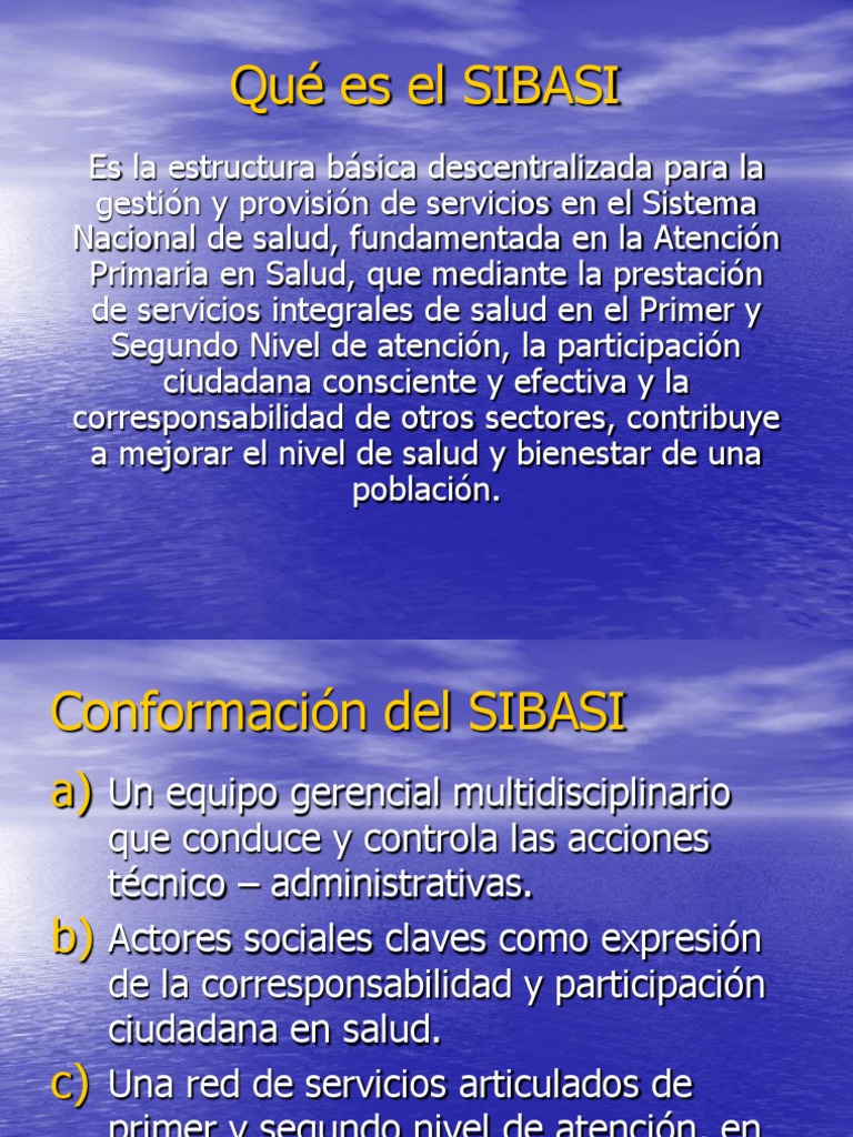 Qué Es El SIBASI I | PDF | Hospital | Planificación