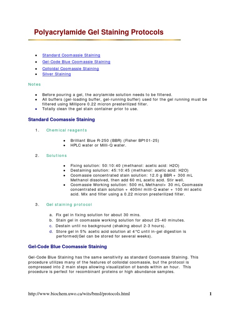Gel Staining Protocols Overview | PDF | Staining | Polyacrylamide Gel ...