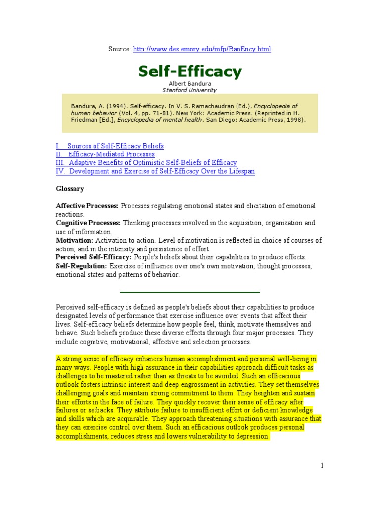 Career Self Efficacy Scale Bandura