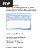 Manual de Procedimientos Excel | PDF | Point and Click | Microsoft Excel