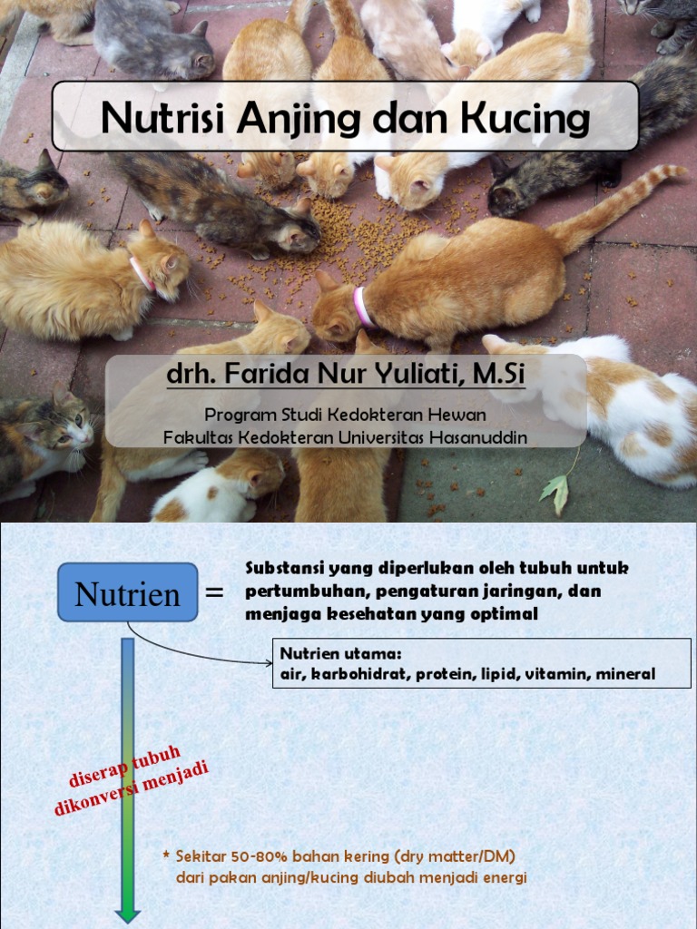 Nutrisi Esensial untuk Anjing dan Kucing | PDF