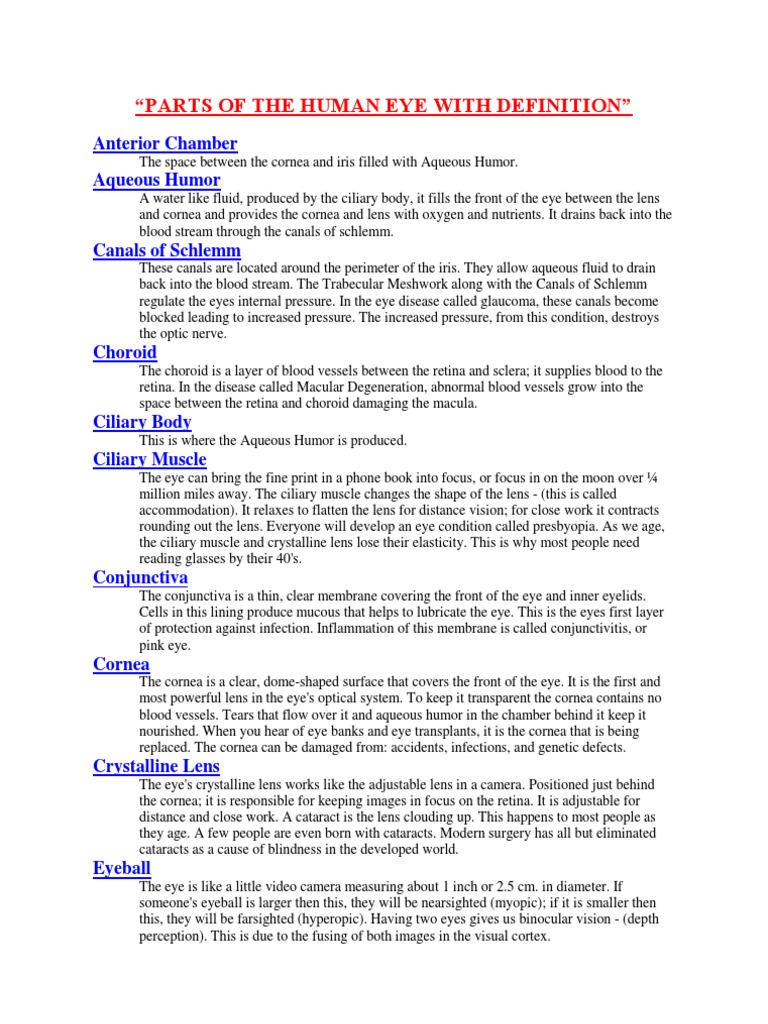 Parts of The Human Eye With Definition | PDF | Human Eye | Visual System