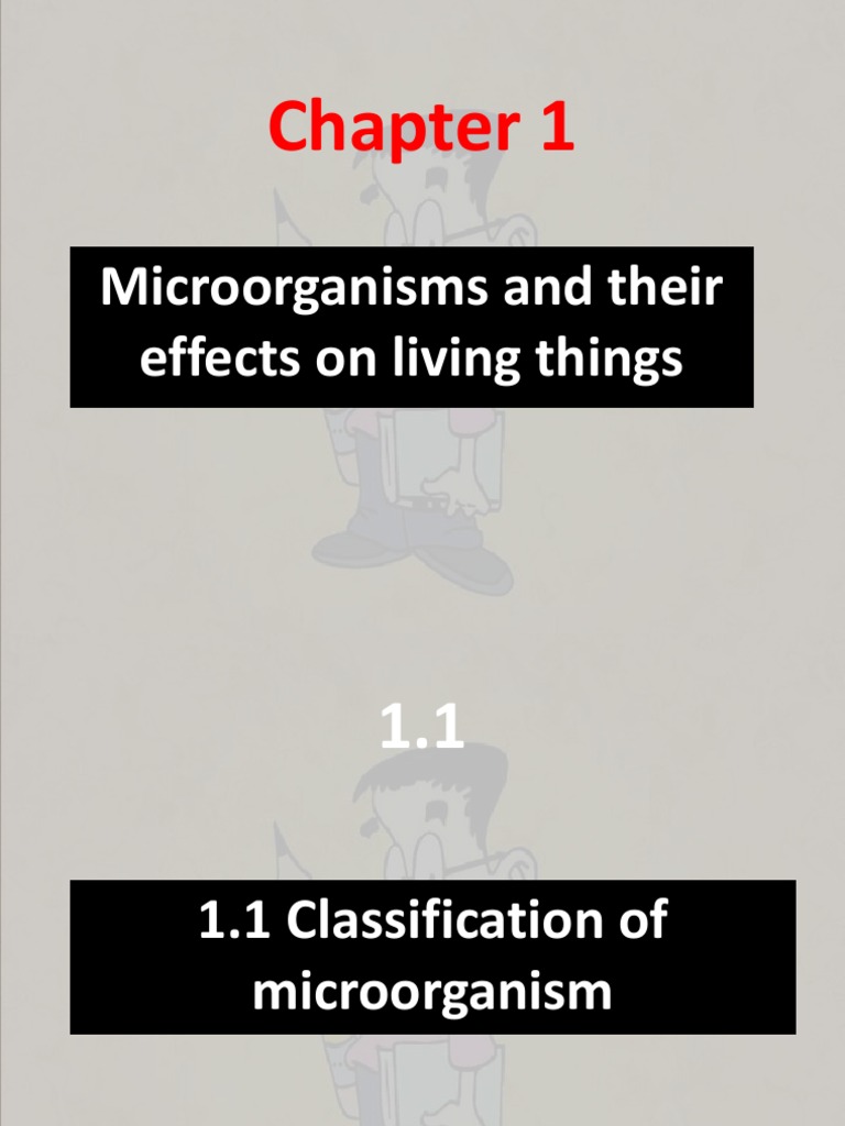 Classification of Microorganisms | PDF | Protozoa | Microorganism