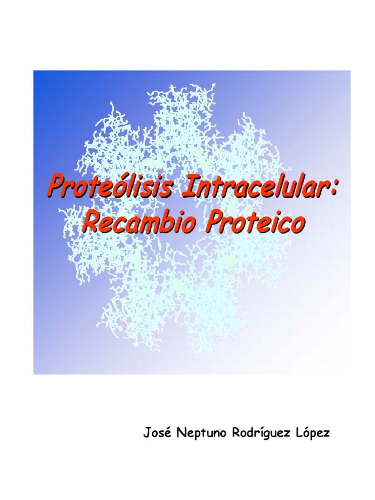 Proteolisis Intracelular Recambio Proteico | PDF | Ubiquitina | Proteasoma