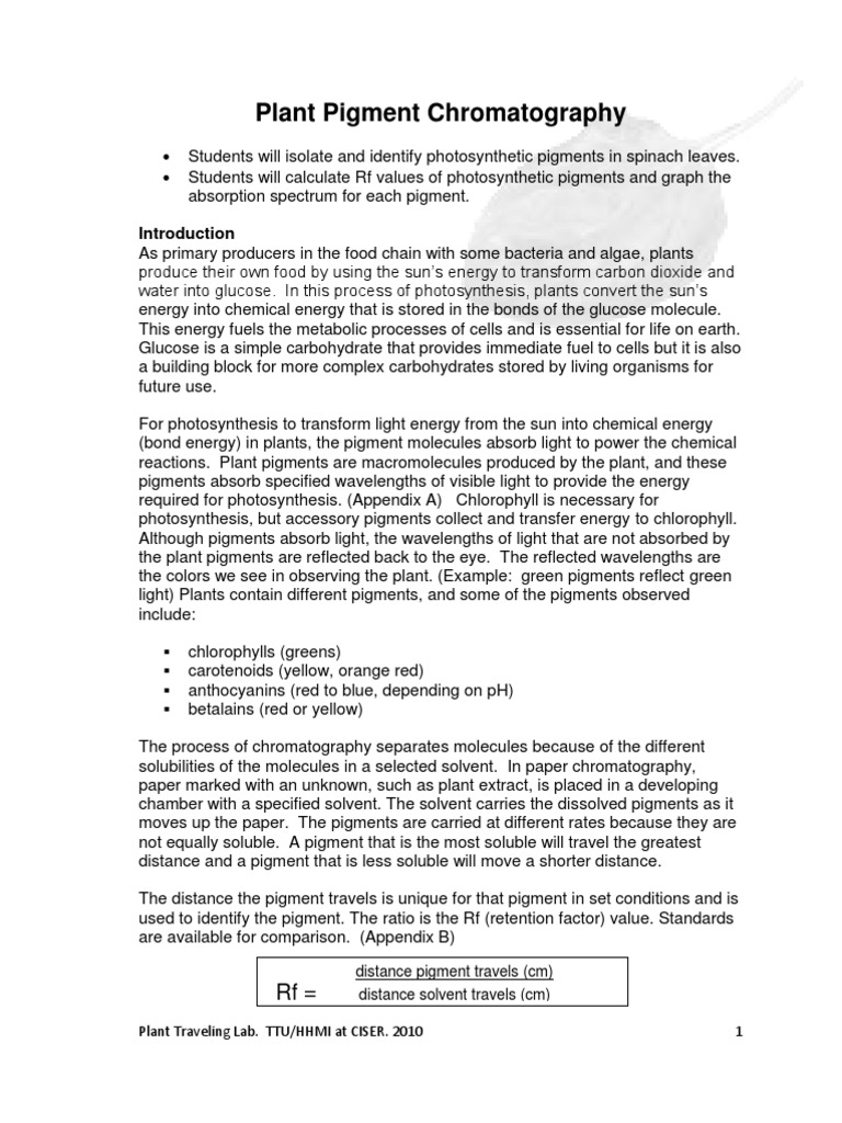 Plant Chromatography | Download Free PDF | Chlorophyll | Photosynthesis