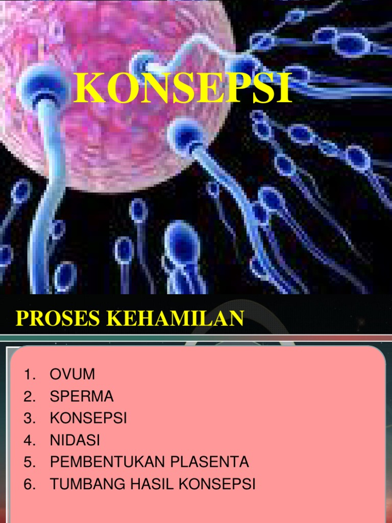 konsepsi