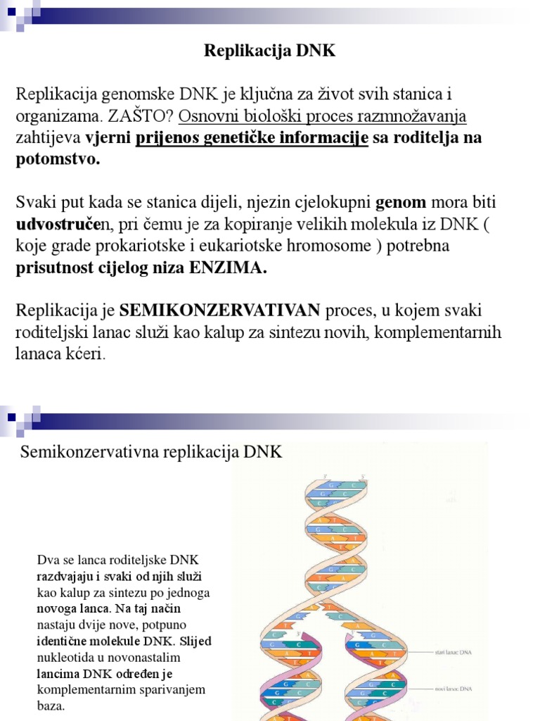 Replikacija Prezentacija | PDF