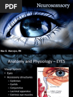 Nursing Care Plan For Glaucoma | PDF | Glaucoma | Visual Impairment