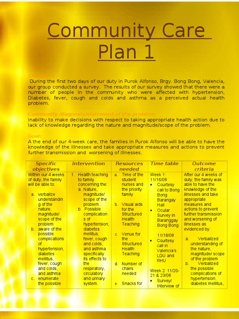 Community Care Plan 1 | Hygiene | Sanitation | Free 30-day Trial | Scribd