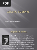 Zeleno Busenje Edhem Mulabdić | PDF