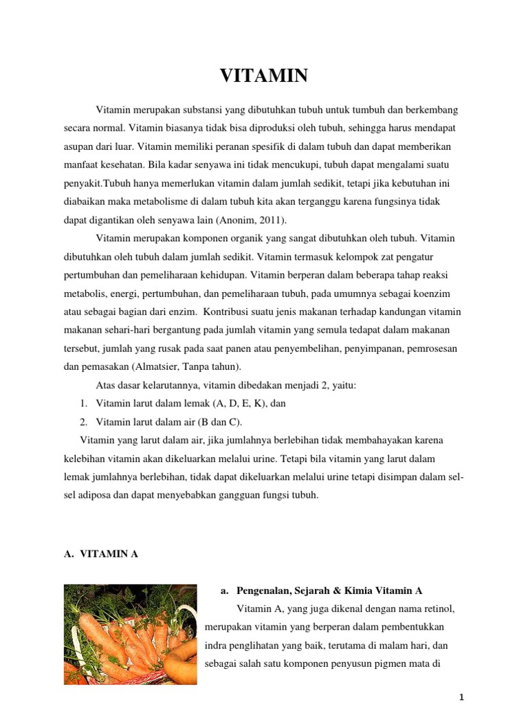 VITAMIN Makalah | PDF