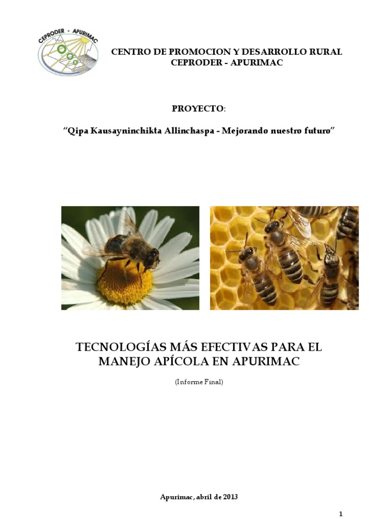 Informe Final Apicola | PDF | Apicultura | Colmena Informe Final Apicola | PDF | Apicultura | Colmena