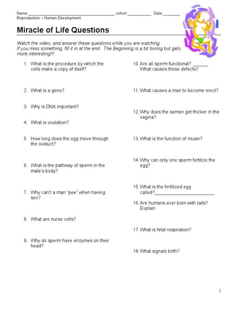 Miracle of Life Questions | PDF | Fertilisation | Sperm