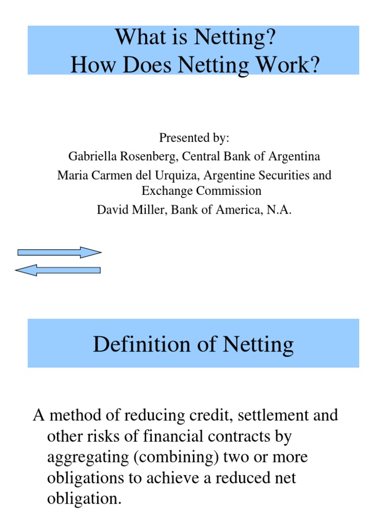 Millers Presentation On Netting | PDF | Payments | Financial Transaction