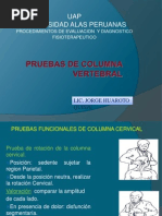 Escala de Lovett | PDF | Músculo esquelético | Contracción muscular