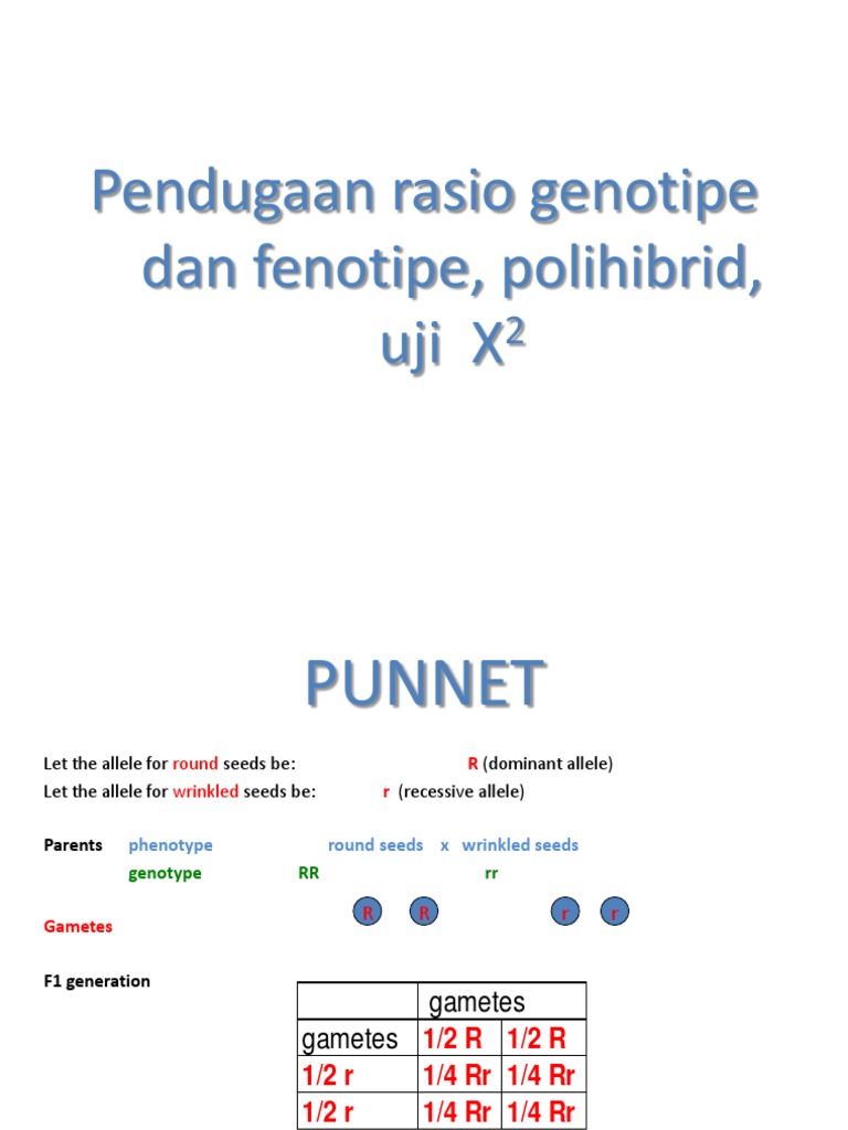Rasio Genotipe dan Fenotipe Polihibrid | PDF | Teaching Methods & Materials