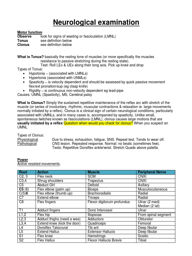 Neurological Exam | PDF | Foot | Human Leg