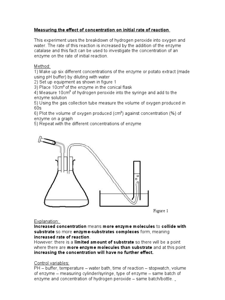 Catalase Concentration Effect on Reaction Rate | PDF | Science ...