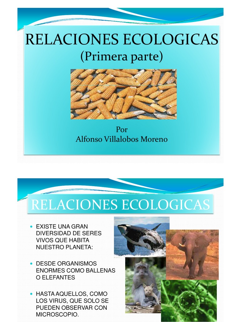 Relaciones Ecologicas PARTE 1 | PDF | Organismos | Reproducción