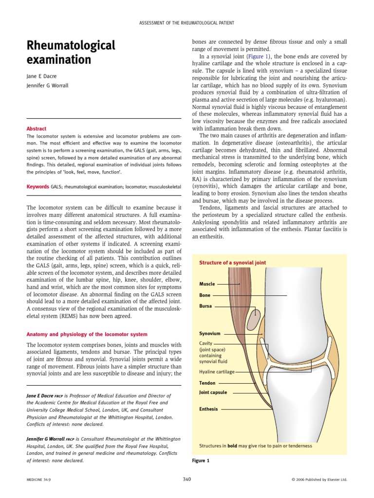 Locomotor Exam | PDF | Musculoskeletal System | Limbs (Anatomy)