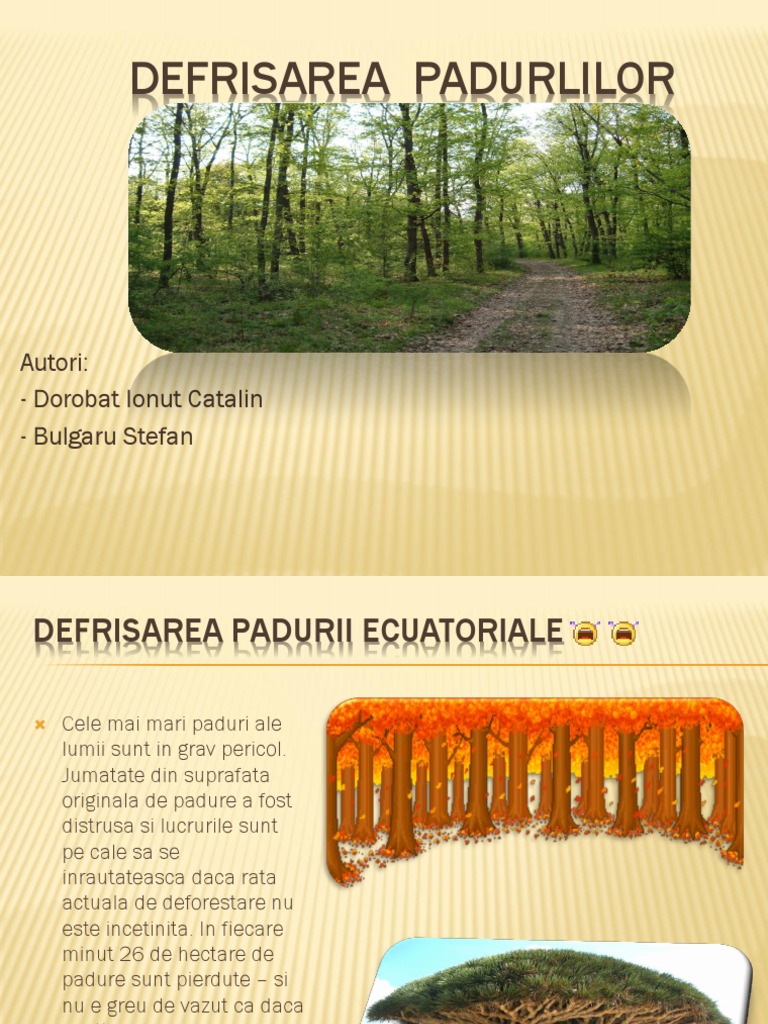 Defrisarea Padurilor | PDF