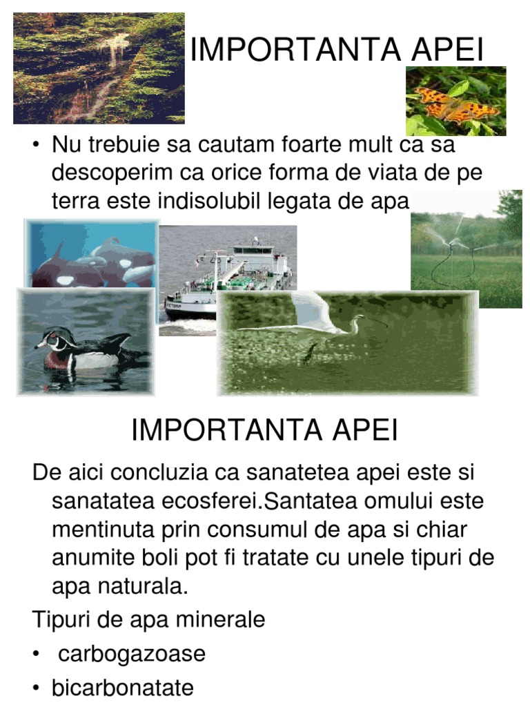 Poluarea Apei Si Efectele Poluarii Apelor | PDF