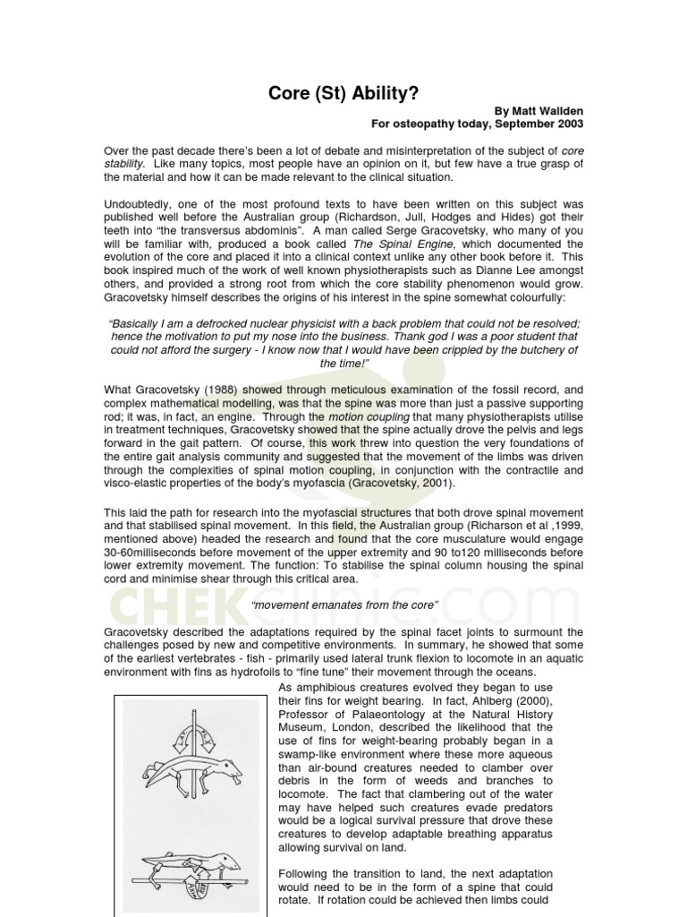 Core Stability | PDF | Muscle | Back Pain