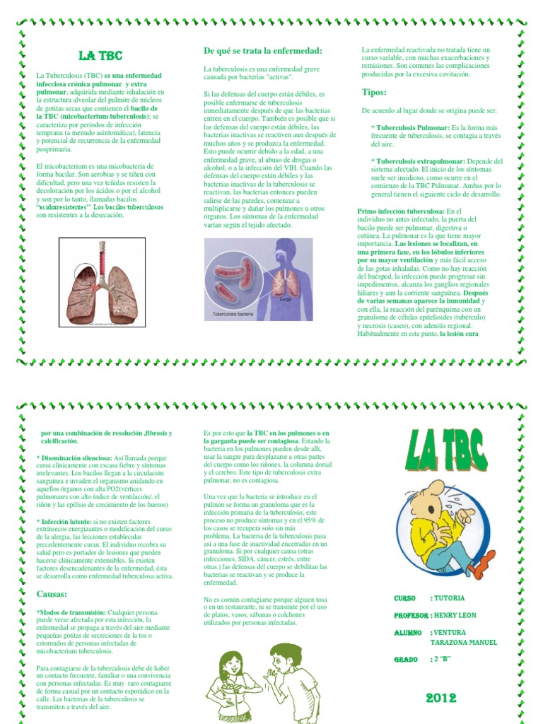 Triptico La TBC | PDF | Tuberculosis | Especialidades Medicas
