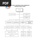 BIR Organizational Structure | PDF | Taxes | Audit