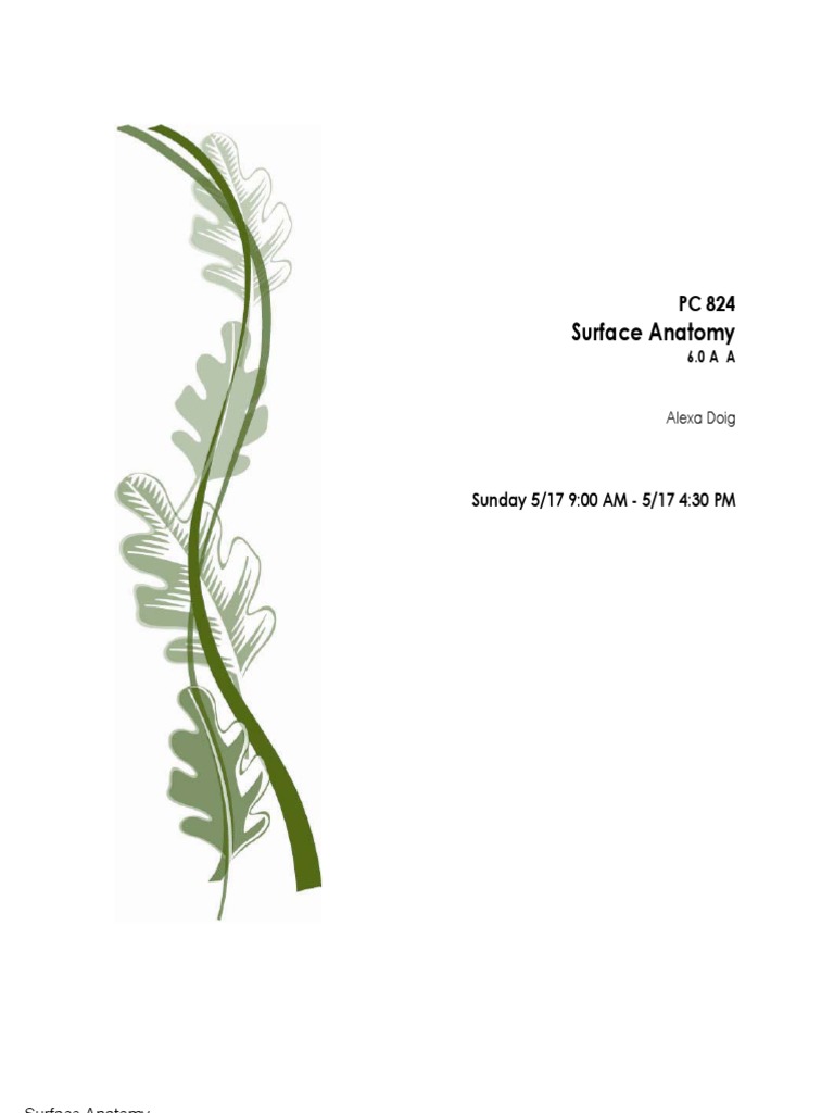 Surface Anatomy | PDF | Vertebral Column | Abdomen