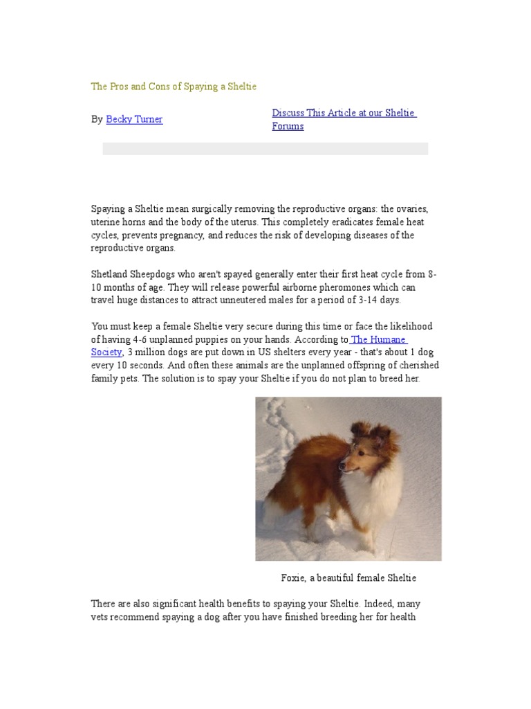 The Pros and Cons of Spaying A Sheltie | PDF | Neutering | Dogs