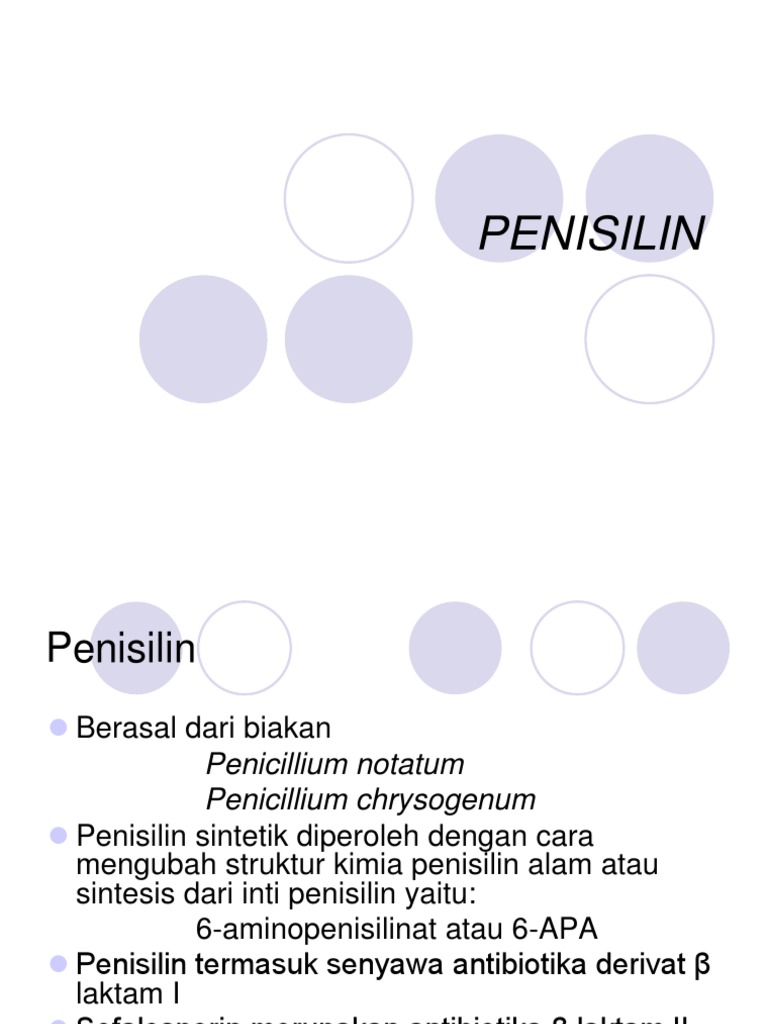 Penisilin | PDF