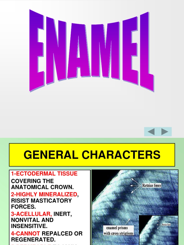 Anatomy, Physical Properties, Chemical Composition, Structure ...