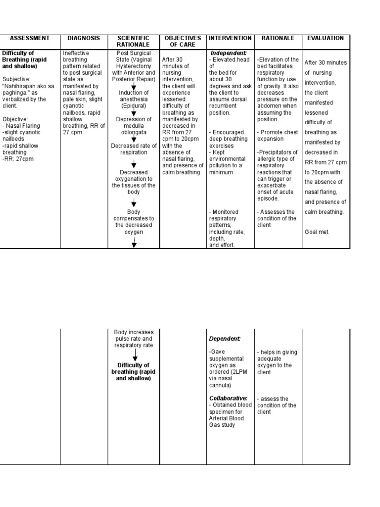 NCP of Difficulty of Breathing | PDF | Breathing | Respiratory System