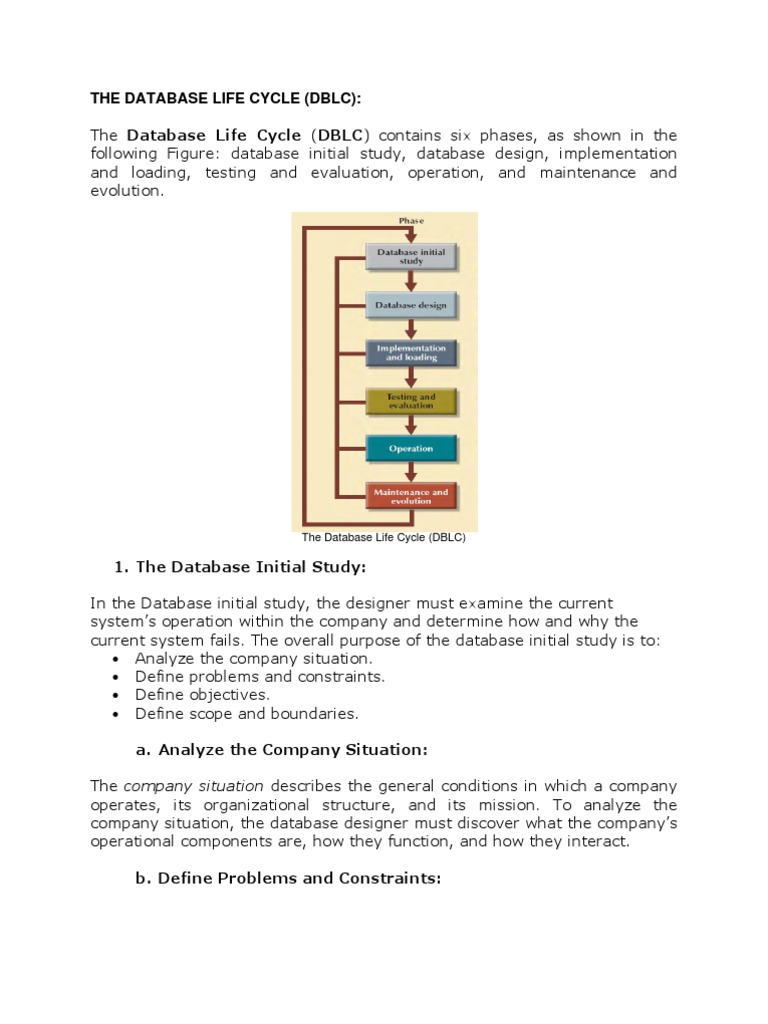 The Database Life Cycle | Database Design | Databases